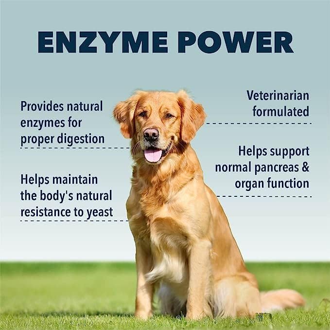 Four Leaf Rover Digest - Digestive Enzymes with Probiotics for Dogs - 15 to 45 Day Supply, Depending on Dog’s Weight - Daily Gut and Immune Support - Vet Formulated - Easy to Mix