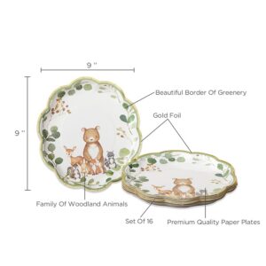 Kate Aspen 64 Pcs Woodland Baby Paper Plates, 9 Inch Heavy Duty Disposable Party Plates, Party Supplies Tableware for Birthday, Wedding, Bridal Shower, Baby Shower, Anniversary Party (Bulk)