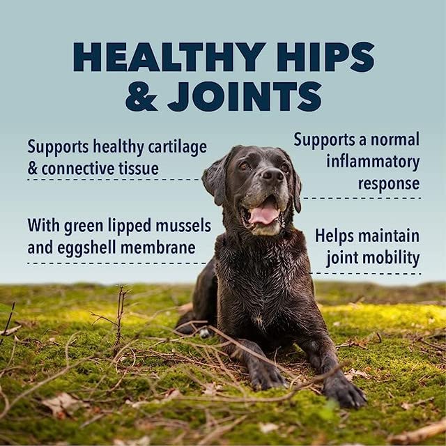 Four Leaf Rover Hip & Joint - Mobility & Joint Support with Glucosamine and Chondroitin for Dogs, 2.4 oz - 22 to 60 Day Supply, Depending on Dog’s Weight - Vet Formulated - Easy to Mix - Delicious