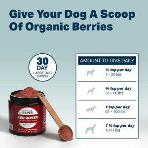 Four Leaf Rover - Red Rover - Organic Berry Blend Dog Prebiotics, Polyphenols, and Antioxidants - 5 to 60 Day Supply, Depending on Dog’s Weight - Vet Formulated - for All Breeds