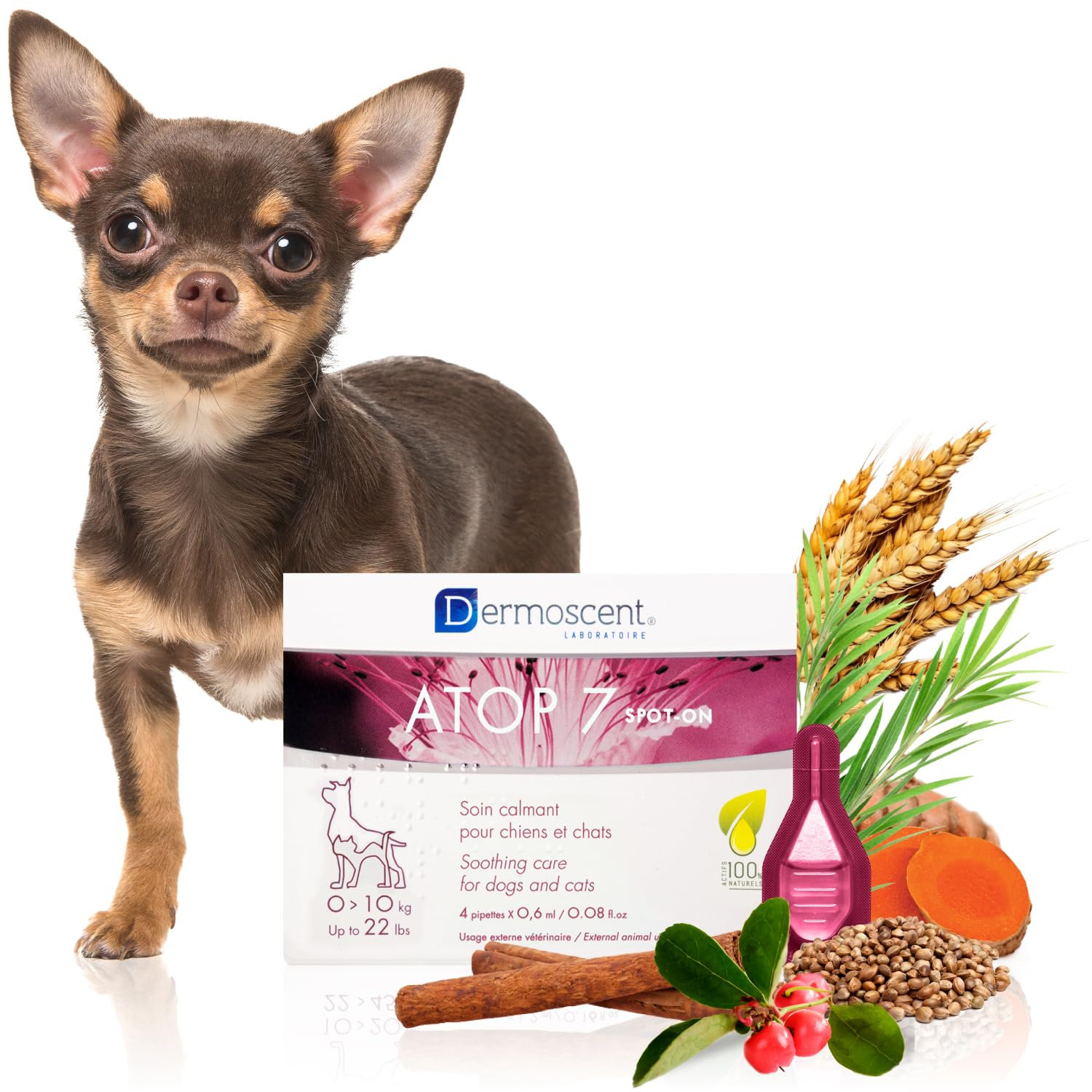 Dermoscent ATOP 7 spot-on - Dogs and Cats Up to 22lbs - Soothing Care for Sensitive, Dry and Itchy Skin or Allergy Prone Skin - Natural Ingredients - 4 pipettes