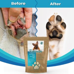 Replenish Dog Paw Health Mix – Natural Skin Soother, Moisturizer and Paw Softener for Your Pup, Foot Soak (Pack of 1)