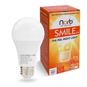 norbsmile full spectrum sun light bulb - a19 9w, boosts energy, mood & performance, supports circadian rhythm, near-perfect color rendering, imitate sunlight indoors, bbb & us supplier (1-pack)