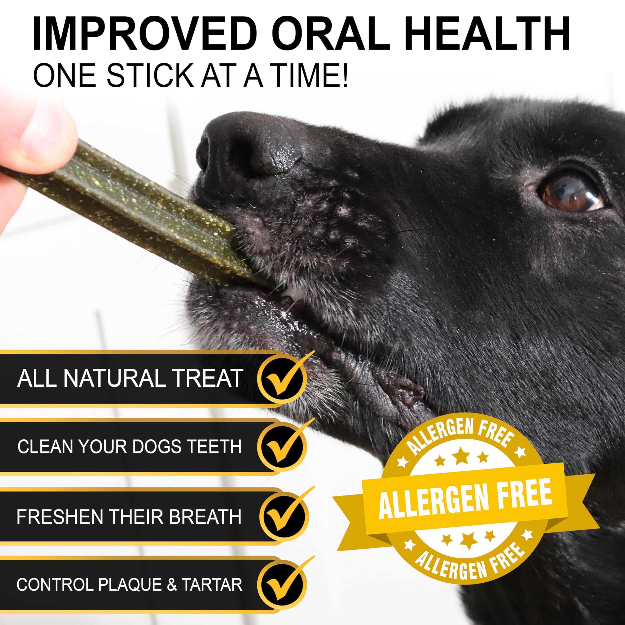 Jack's Premium Dental Treats for Dogs- Natural Chew for Dental Support & Tartar Control- Grain Free Functional Treat with Organic Spirulina, Peppermint, (24 Sticks)