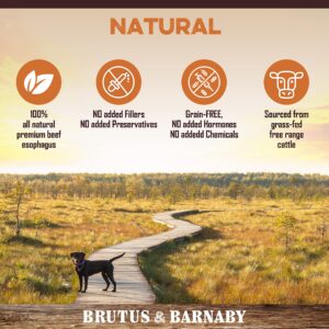 Gullet Sticks for Dogs, All Natural Single Ingredient Beef Jerky Chews, Healthy Beef Gullet Sticks, Naturally Occurring Glucosamine & Chondroitin, Can Help Joint Function for Puppies or Senior Dogs