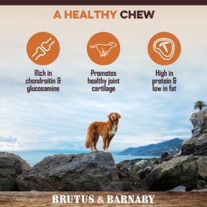 Gullet Sticks for Dogs, All Natural Single Ingredient Beef Jerky Chews, Healthy Beef Gullet Sticks, Naturally Occurring Glucosamine & Chondroitin, Can Help Joint Function for Puppies or Senior Dogs