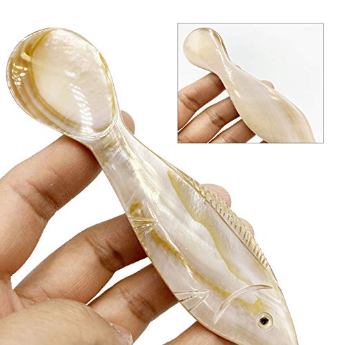 Wenplus 2 Pack 4.73inch Caviar Spoons Handcraft Mother of Pearl MOP Caviar Spoon W Round Handle with One Plastic Storage Box -Coffee Color, Style F