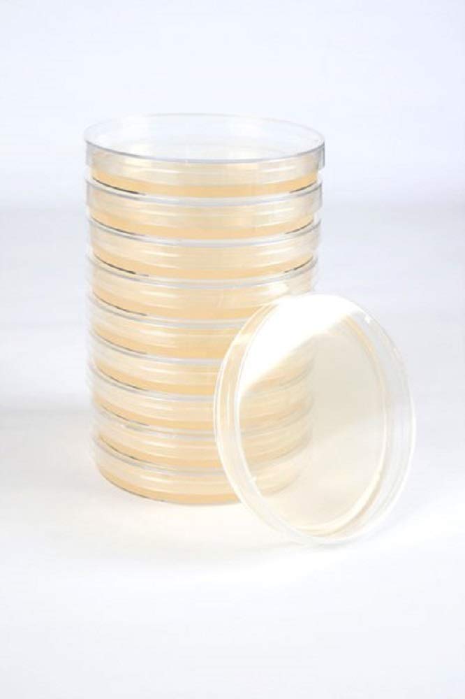 Tryptic Soy Agar (TSA), with Typtone & Soytone, General Growth Medium, (10-Pack), Pre-Poured 15x100mm Petri Plates