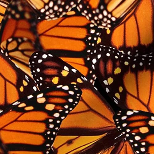 Spoonflower Fabric - Monarch Butterfly Orange Summer Wings Insect Printed on Petal Signature Cotton Fabric by The Yard - Sewing Quilting Apparel Crafts Decor