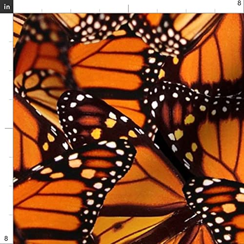 Spoonflower Fabric - Monarch Butterfly Orange Summer Wings Insect Printed on Petal Signature Cotton Fabric by The Yard - Sewing Quilting Apparel Crafts Decor