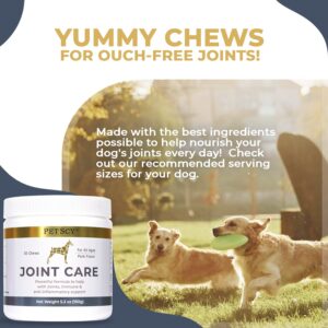 Petscy: Joint Care Chews - Glucosamine, Chondroitin, MSM, and Creatine Nutritional Supplement for Dogs - 30 Chews - Pork Flavor - Joint Pain Relief Support for All Ages and Breeds - Made in The USA