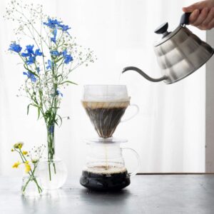 Hario V60 Drip-Assist, Size 02, Clear