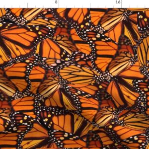 Spoonflower Fabric - Monarch Butterfly Orange Summer Wings Insect Printed on Petal Signature Cotton Fabric by The Yard - Sewing Quilting Apparel Crafts Decor