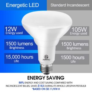 Energetic LED Recessed Light Bulbs BR30, 105W Equivalent, 1500LM, Dimmable, Warm White 3000K, Indoor Flood Lights for Recessed Cans, UL Listed, 12 Pack