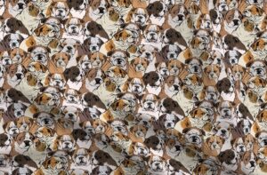 spoonflower fabric - english bulldog bulldogs pattern puppy animal printed on petal signature cotton fabric fat quarter - sewing quilting apparel crafts decor