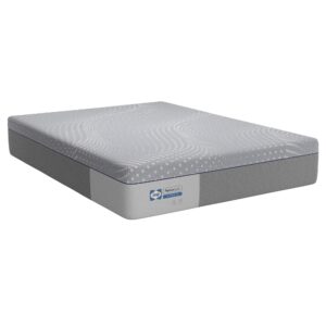 Sealy Posturepedic Hybrid Lacey Soft Feel Mattress and 9-Inch Foundation, Queen