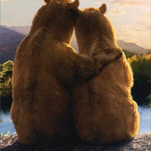 Avanti Press Bear Couple Overlooking River Birthday Card for Husband : Wife