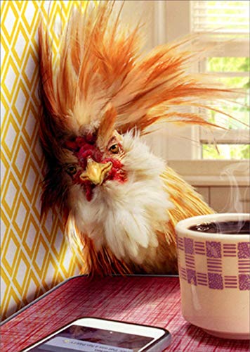 Avanti Press Rooster Hangover Humorous : Funny Birthday Card