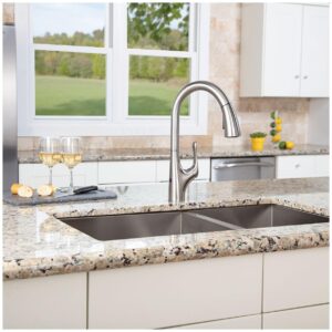 Speakman SBS-2142 Chelsea Sensor Pull Down Kitchen Faucet-PC, Polished Chrome