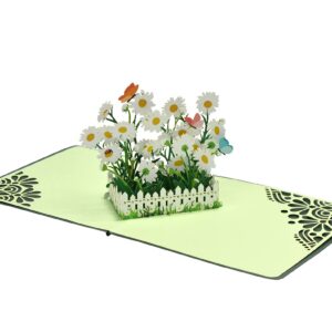 CUTPOPUP Mothers Day Card Pop Up, Birthday 3D Greeting Card (Daisy Flowers)