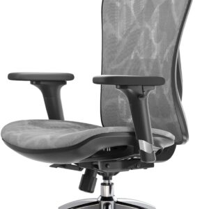 SIHOO M57 Ergonomic Office Chair with 3 Way Armrests Lumbar Support and Adjustable Headrest High Back Tilt Function Grey