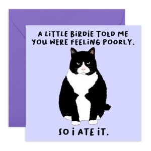 central 23 - funny get well soon card for her him - 'a little birdie feeling poorly' - cheer up gifts for women men - cat greeting cards sympathy memorial thinking of you - comes with fun stickers