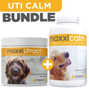 maxxipaws uti calm bundle – maxxiutract urinary and bladder support for dogs & maxxicalm canine calming supplement