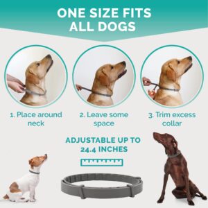 PREMIUM CARE Calming Collar for Dogs - Anti-Anxiety and Stress Relief Collar - Pheromone Collars for Dogs - Adjustable up to 24.4 inches - Lasts up to 60 Days- De-Stress Formula to Relieve Stress