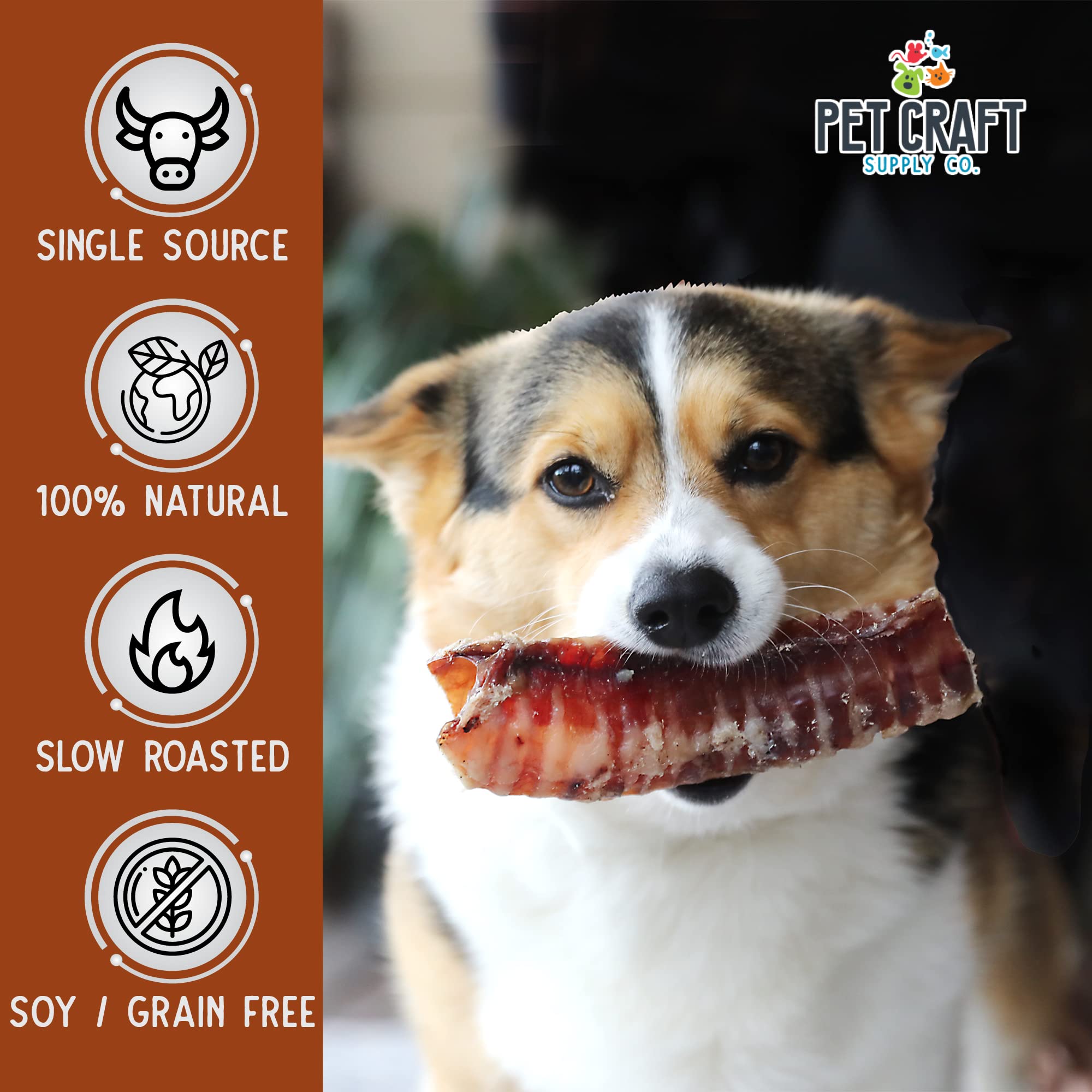 Pet Craft Supply All Natural Healthy Buffalo Trachea Bones Dog Chews Treats for Aggressive Chewers Long Lasting Rawhide Free Premium Slow Roasted for Puppies Small Medium Large Dogs 6 Pack