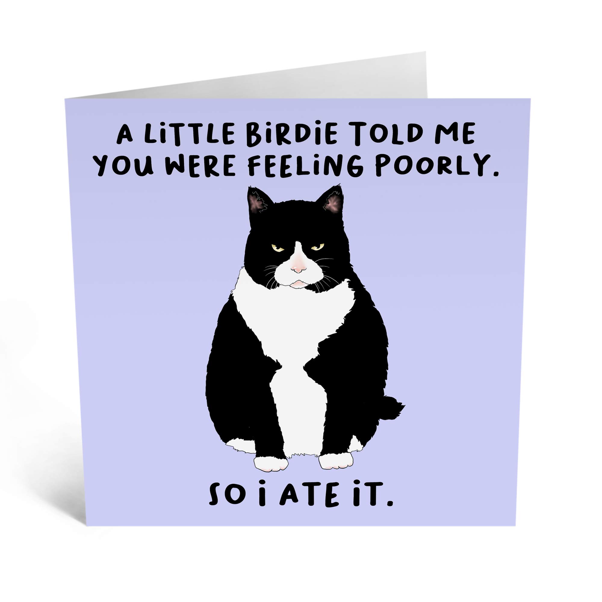 CENTRAL 23 - Funny Get Well Soon Card For Her Him - 'A Little Birdie Feeling Poorly' - Cheer Up Gifts For Women Men - Cat Greeting Cards Sympathy Memorial Thinking Of You - Comes With Fun Stickers