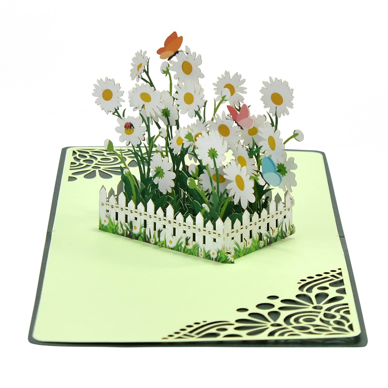 CUTPOPUP Mothers Day Card Pop Up, Birthday 3D Greeting Card (Daisy Flowers)