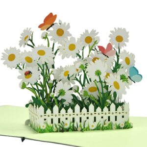 CUTPOPUP Mothers Day Card Pop Up, Birthday 3D Greeting Card (Daisy Flowers)