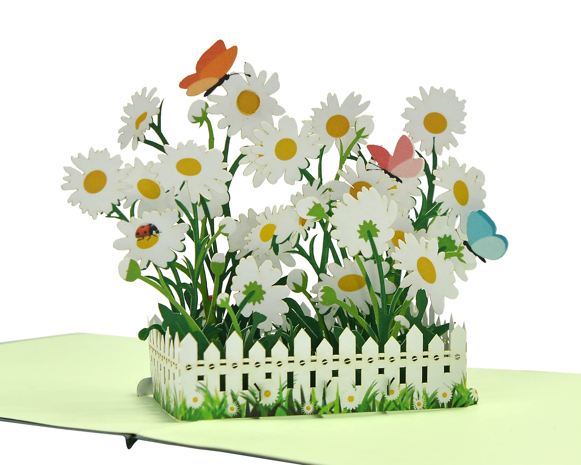 CUTPOPUP Mothers Day Card Pop Up, Birthday 3D Greeting Card (Daisy Flowers)