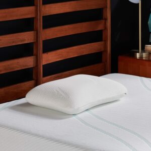 TEMPUR-Adapt (Supreme) 3" Memory Foam Mattress Topper and Tempur-Pedic Memory Foam Symphony Pillow Luxury Soft Feel, Standard, White