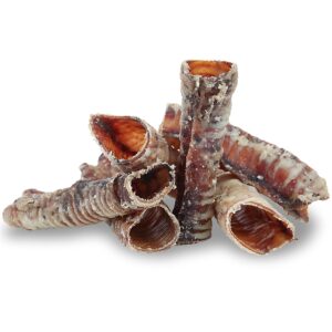 pet craft supply all natural healthy buffalo trachea bones dog chews treats for aggressive chewers long lasting rawhide free premium slow roasted for puppies small medium large dogs 6 pack