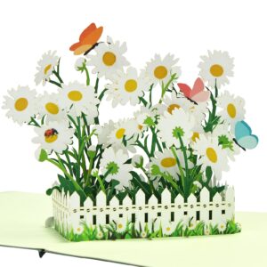 CUTPOPUP Mothers Day Card Pop Up, Birthday 3D Greeting Card (Daisy Flowers)