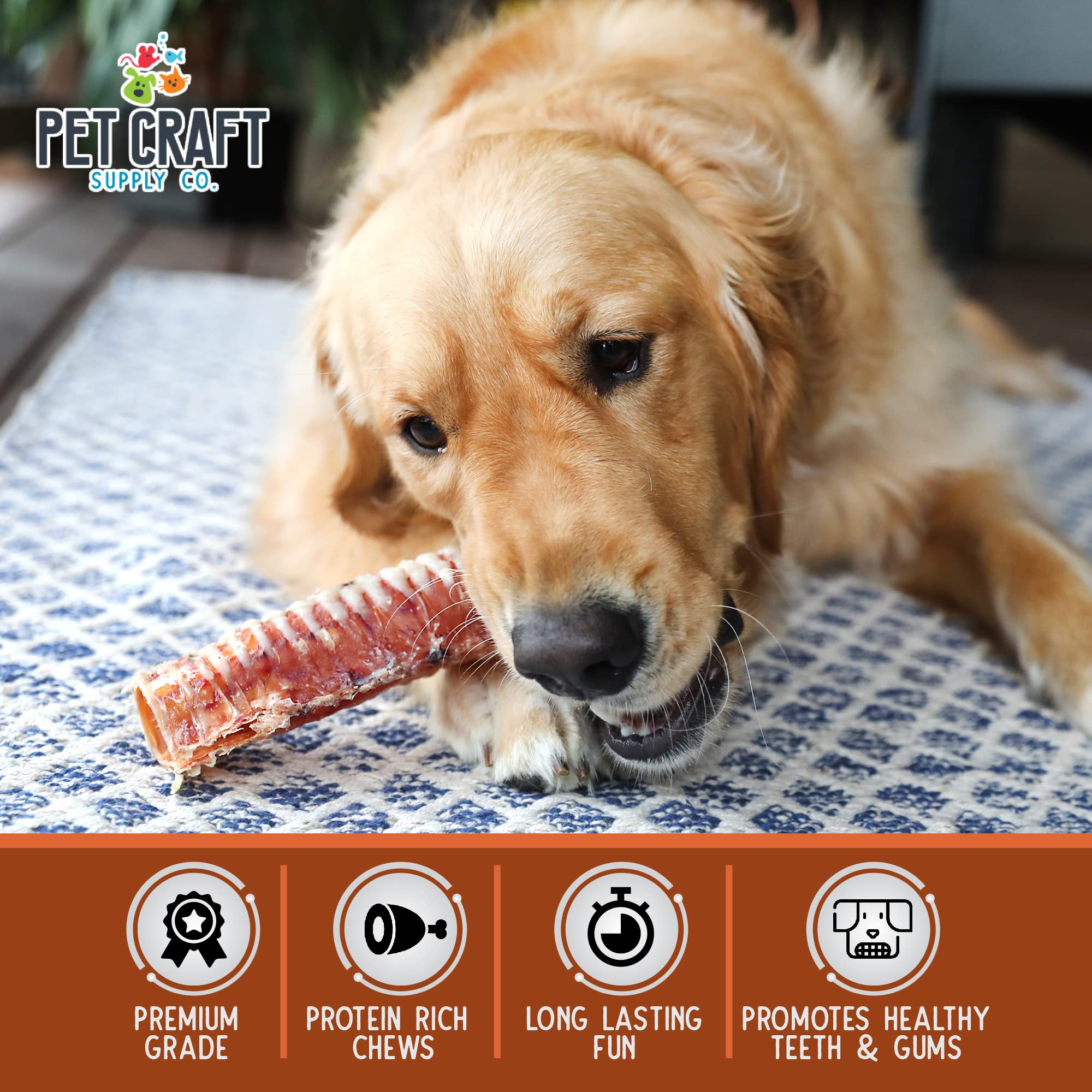 Pet Craft Supply All Natural Healthy Buffalo Trachea Bones Dog Chews Treats for Aggressive Chewers Long Lasting Rawhide Free Premium Slow Roasted for Puppies Small Medium Large Dogs 6 Pack