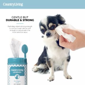 Silver Paw Fragrance-Free Wipes for Dogs, Dog Wipes Cleaning & Pet-Friendly with Plant-Based Formula, 1-Pack (Total of 75 Wipes)