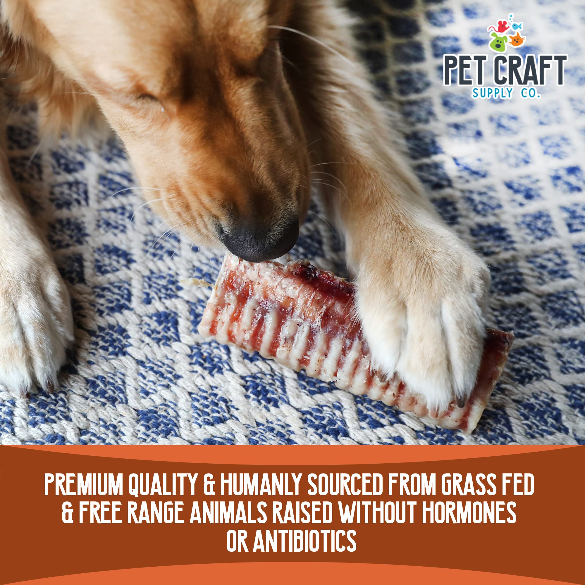 Pet Craft Supply All Natural Healthy Buffalo Trachea Bones Dog Chews Treats for Aggressive Chewers Long Lasting Rawhide Free Premium Slow Roasted for Puppies Small Medium Large Dogs 6 Pack