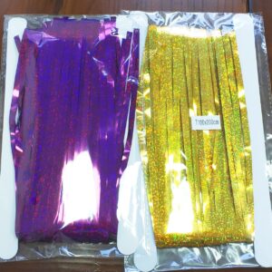 Graduation Decorations Purple Gold Black 2024/Birthday Decorations Purple Gold for Women/Foil Fringe Curtains Foil Curtains for Eid Mubarak Decorations/2024 Graduation Party Decorations