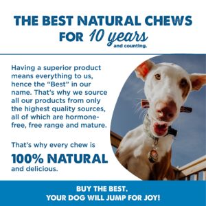 Best Bully Sticks All Natural Dog Chews - 6 Inch Beef Wrapped Beef Collagen Sticks - USA Baked & Packed - Easily digestible, Limited Ingredient, Rawhide Alternative Dog Chew - 10 Pack