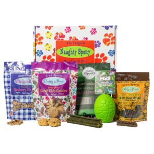 naughty spotty dog christmas treat gift box with dinosaur egg-shaped treat dispenser, made in the usa treats & chews for md/lg dogs, (peanut butter, blueberry, peppermint, duck flavors).