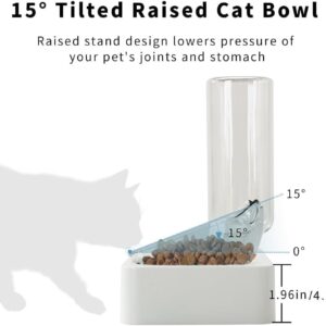 Marchul Tilted Cat Food Bowl with Feeding Mat for Food and Water, Food Feeding Dishes for Raised Cats and Puppies