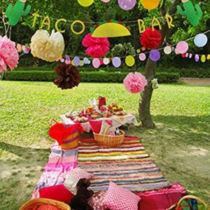 HAKPUOTR Taco Bar Banner with Cactus and Taco, Mexican Theme Birthday/Baby Shower/Bridal Shower/Engagement, Party Decorations, Fiesta Themed Party Taco Bar Décor