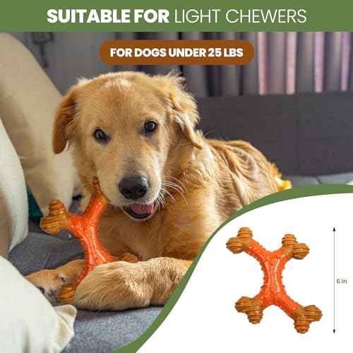 SPOT Bam-Bones Dental X-Bone - Made with Bamboo Fiber and a Massaging Rubber Center, Durable Oral Care Dog Chew for Light Chewers & Teething Puppies under 25lbs, 6in Allergen Free Peanut Butter Flavor