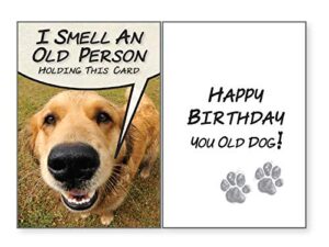 dog speak i smell an old person holding this card - happy birthday pet card