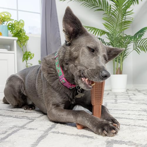 SPOT Bam-Bones Plus T Bone - Bamboo Fiber & Nylon, Durable Long Lasting Dog Chew for Aggressive Chewers – Toy for Dogs & Puppies Under 90lbs, Non-Splintering, 7in, Allergen Free Peanut Butter Flavor