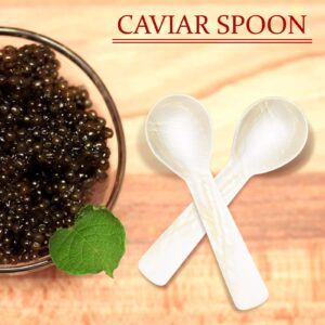 Caviar Spoons Mother of Pearl MOP Caviar Spoons with Hand Craft W Round Handle for Caviar, Egg, Ice Cream, Salt, Coffee Serving, Restaurant Serving Set (6 Pieces, 2.75 Inch)