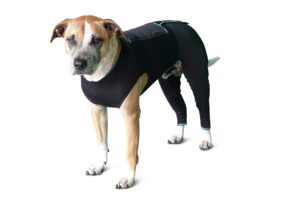 benefab therapeutic comfort suit for dogs — lightweight far-infrared jacket for canines of all ages — relaxing fir compression suit soothes muscles, joints, and pain (large)