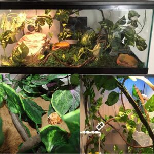 Hamiledyi Crested Gecko Coco Hut Natural Reptile Coconut Hideouts Lizard Water Food Bowls Climbing Porch Hiding Sleeping Breeding Pad Jungle Vine Flexible Reptile Leaves for Bearded Dragon 6PCS